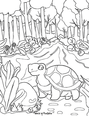 Turtle Coloring Pages - World of Printables