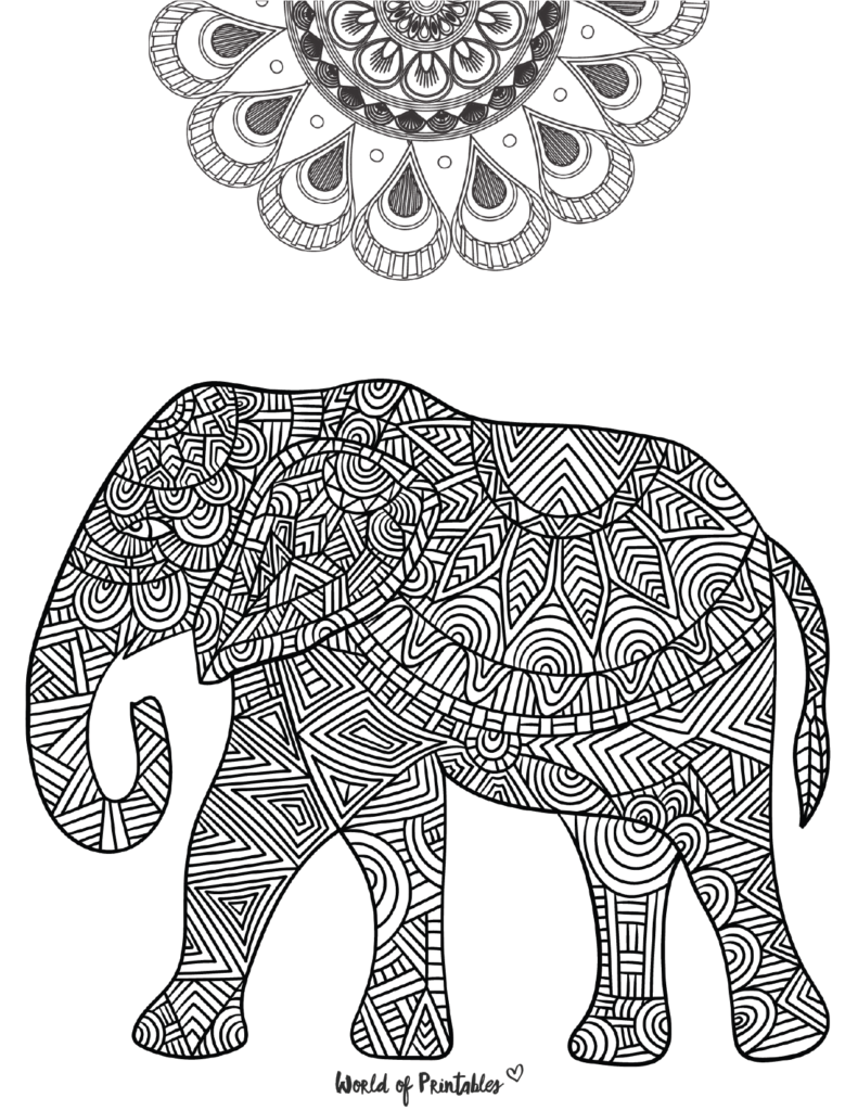 Elephant Coloring Pages - World of Printables
