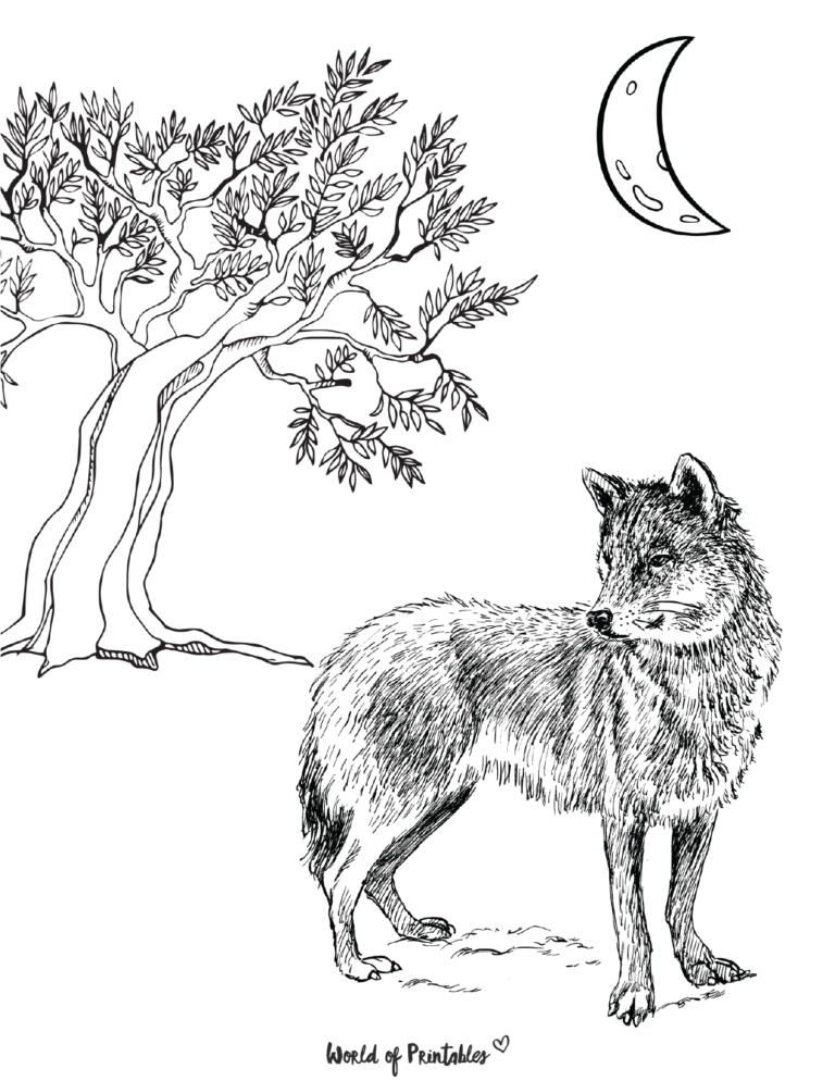Wolf Coloring Pages - World of Printables