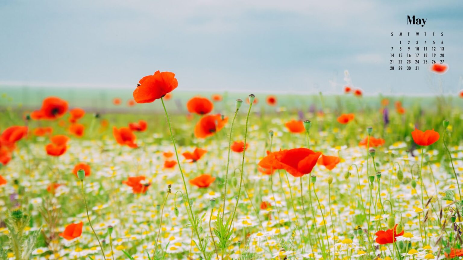 Free May 2023 Calendar Wallpaper