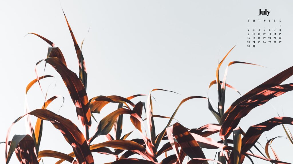 July Calendar Wallpaper - 80 Best Styles For Your Desktop Or Phone ...