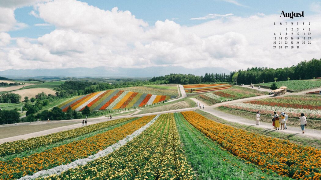 August Calendar Wallpaper - 60 Best Desktop & Phone Backgrounds