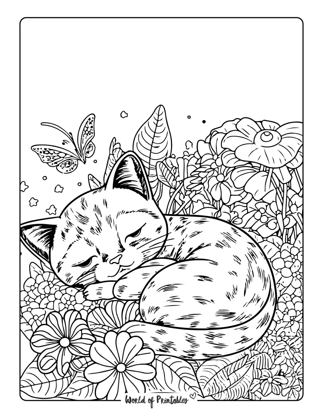 Cat Coloring Pages For Kids & Adults - World of Printables