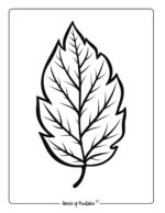 The Best Fall Coloring Pages For Kids & Adults - World of Printables