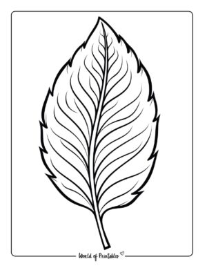 The Best Fall Coloring Pages For Kids & Adults - World of Printables