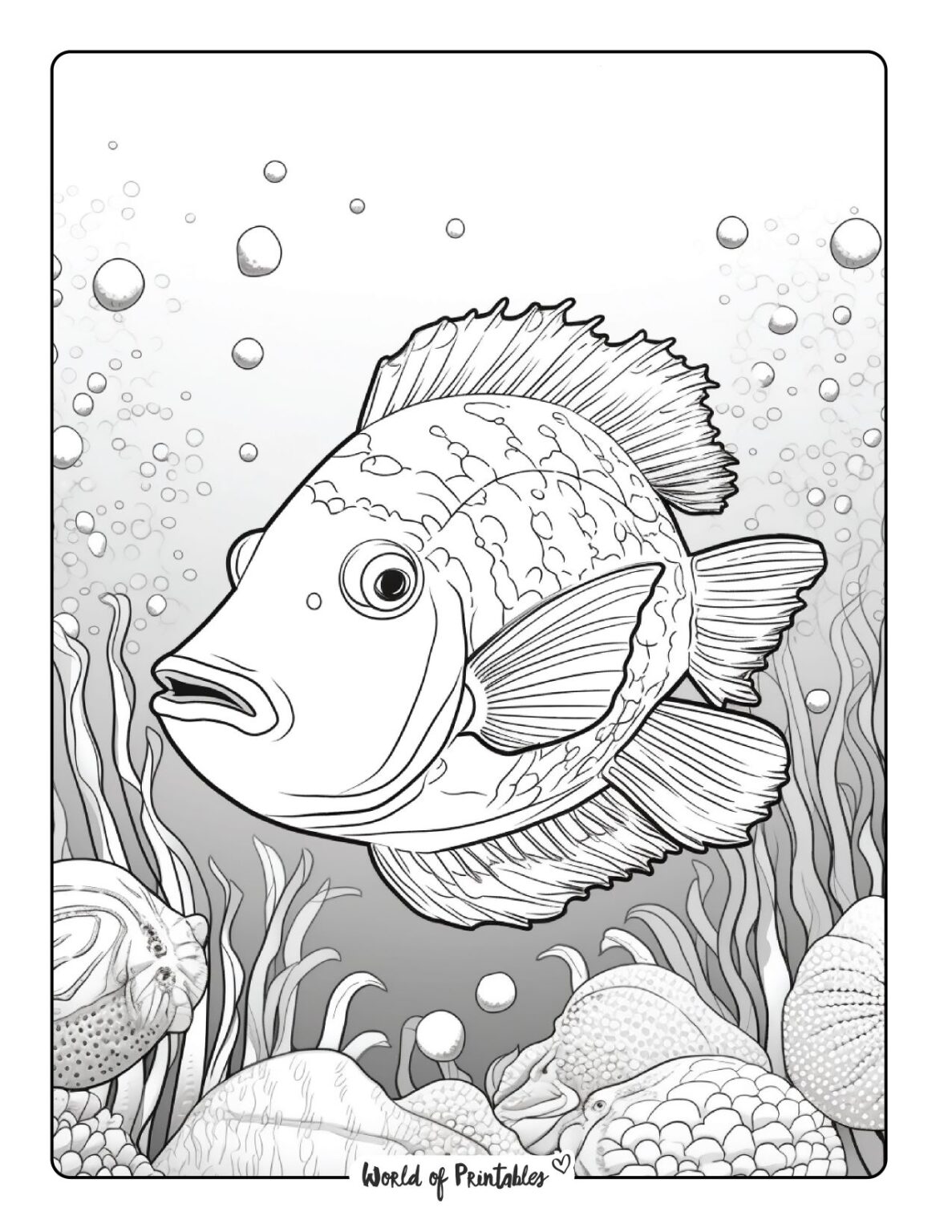 Fish Coloring Pages - World of Printables