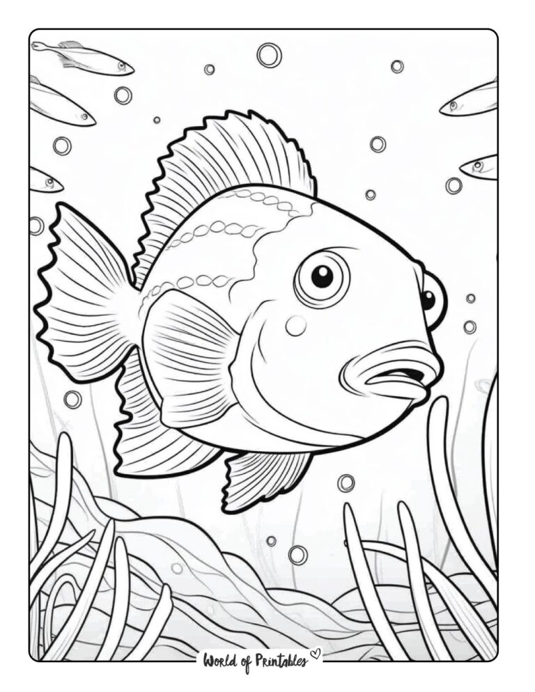 Fish Coloring Pages - World of Printables