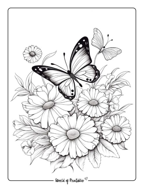 Pretty Flower Coloring Sheet Infoupdate
