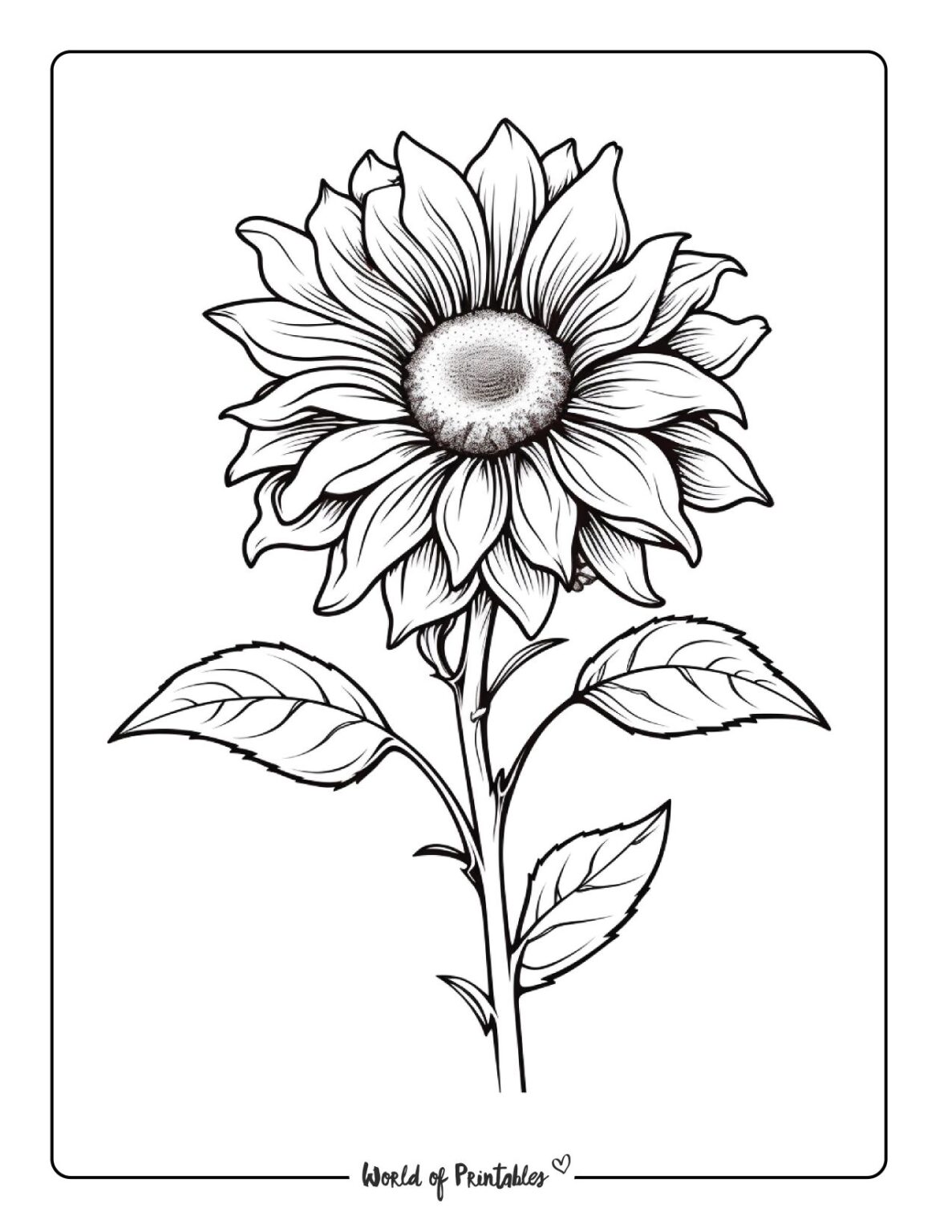 230 Free Flower Coloring Pages For Kids & Adults