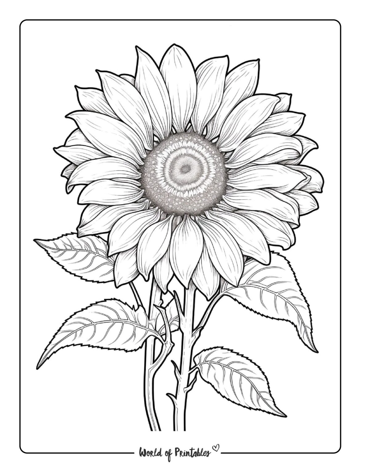 230 Free Flower Coloring Pages For Kids & Adults