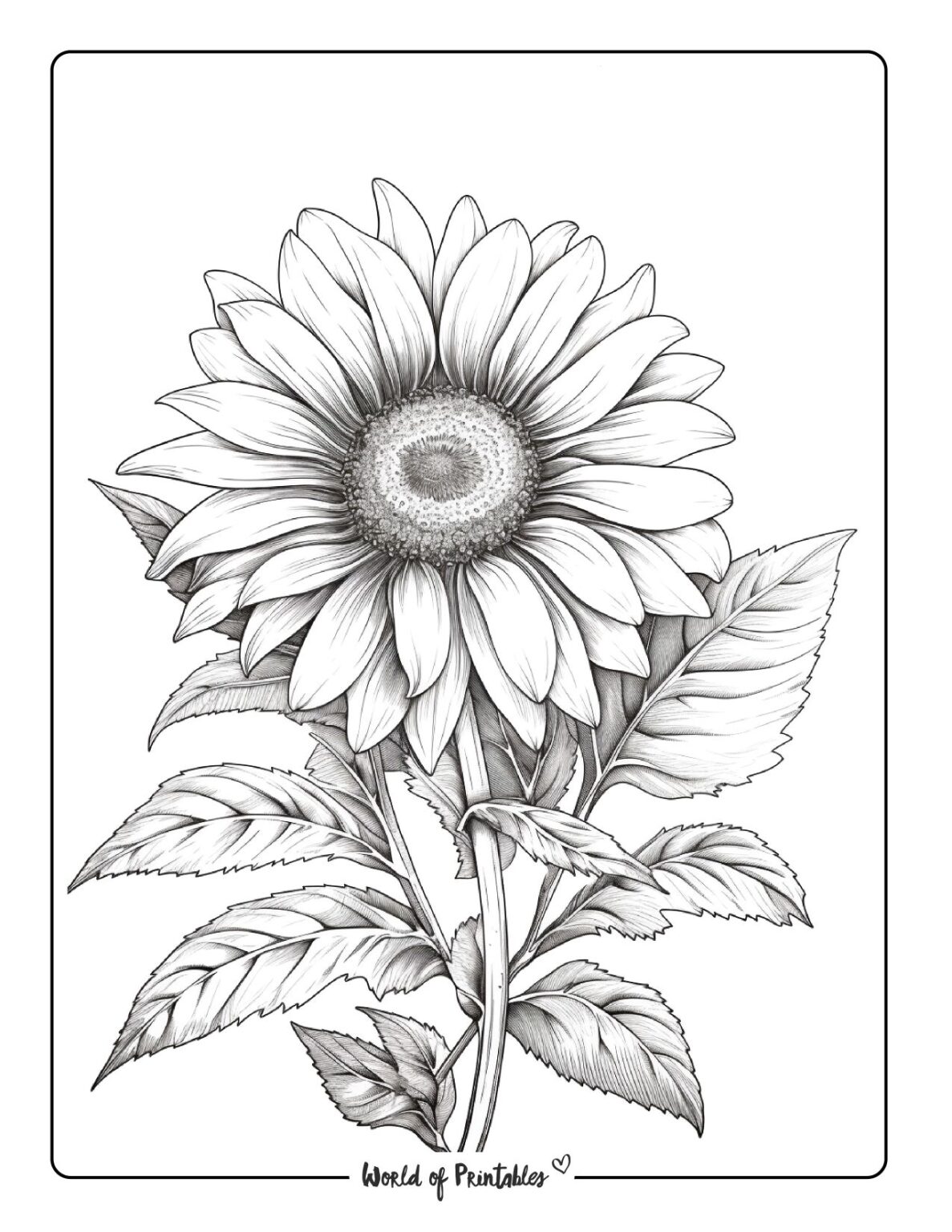 230 Free Flower Coloring Pages For Kids & Adults