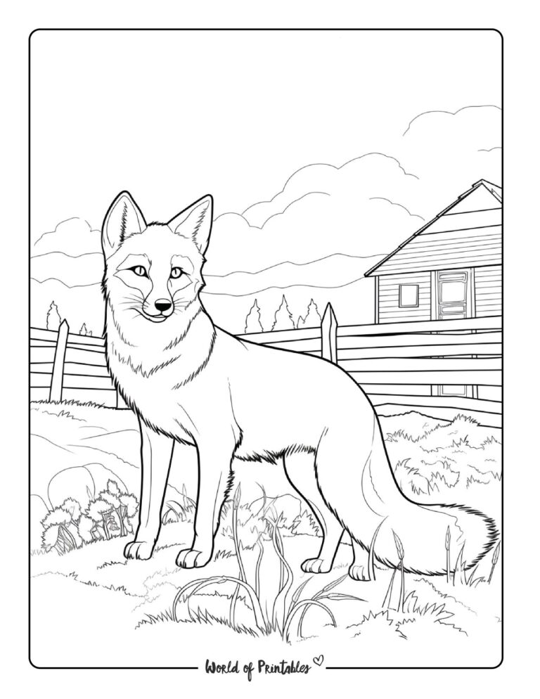 Fox Coloring Pages For Kids & Adults - World of Printables