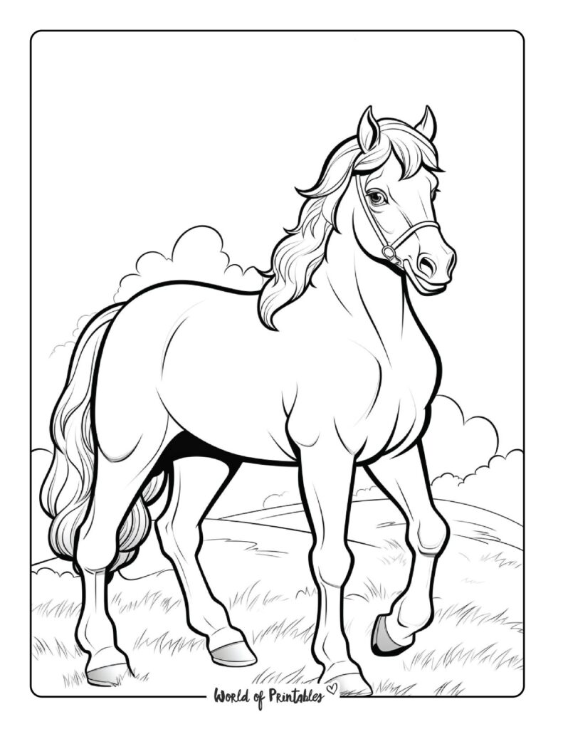 Horse Coloring Pages For Kids & Adults - World of Printables