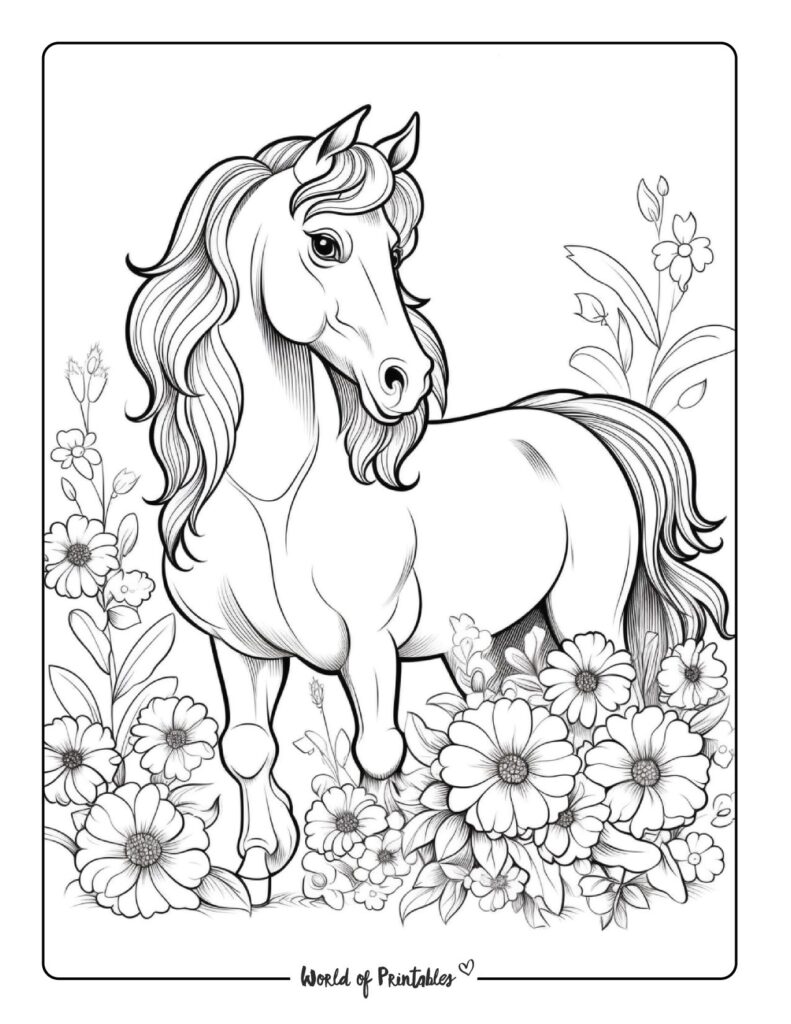 Horse Coloring Pages For Kids & Adults - World of Printables