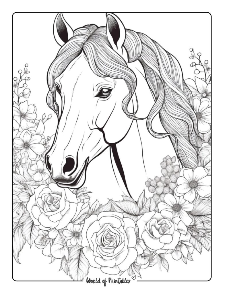 Horse Coloring Pages For Kids & Adults - World of Printables