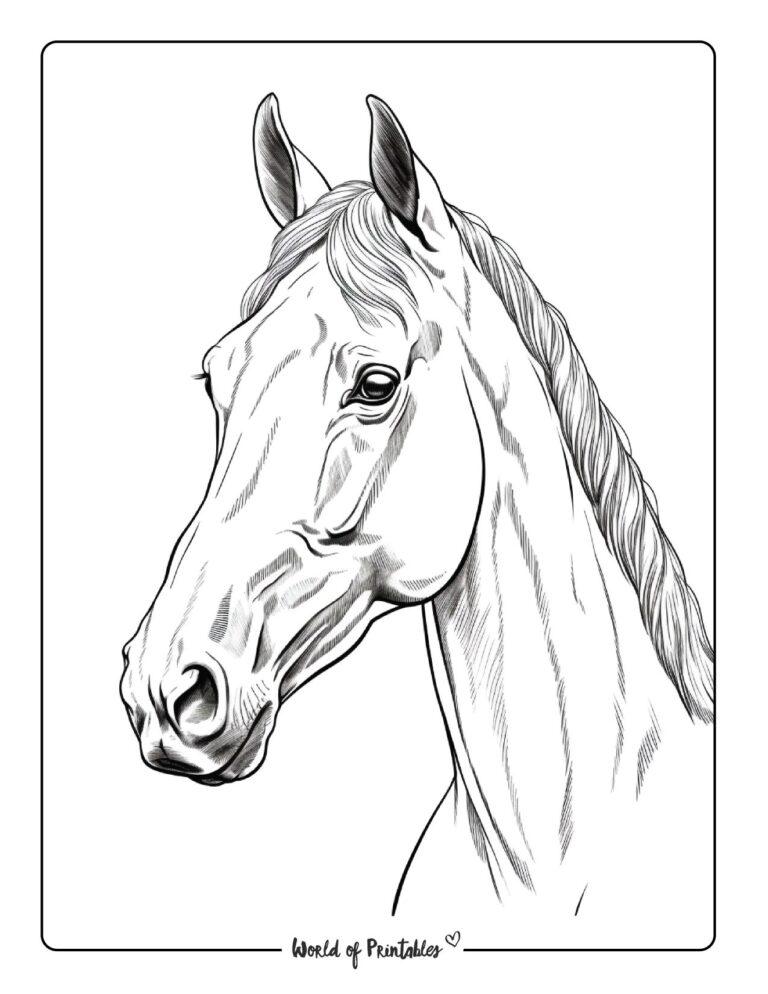 Horse Coloring Pages For Kids & Adults - World of Printables