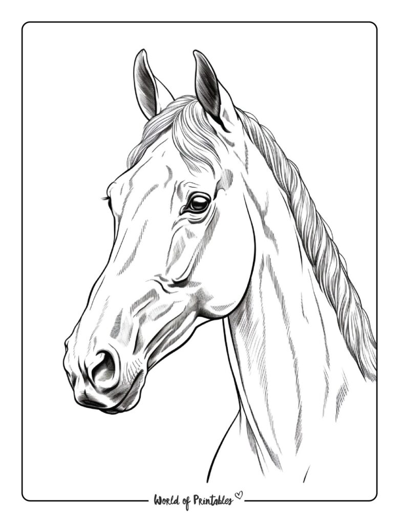 Horse Coloring Pages For Kids & Adults - World of Printables