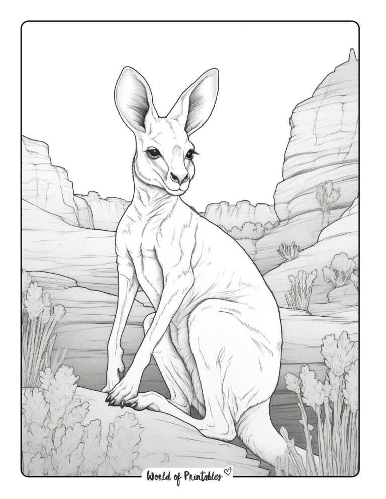 Kangaroo Coloring Pages - World of Printables
