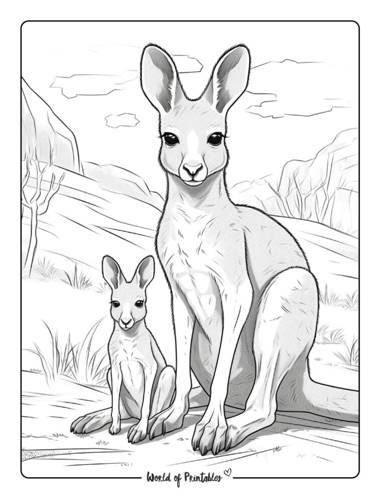 Kangaroo Coloring Pages - World of Printables