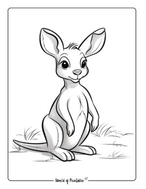 Kangaroo Coloring Pages - World of Printables