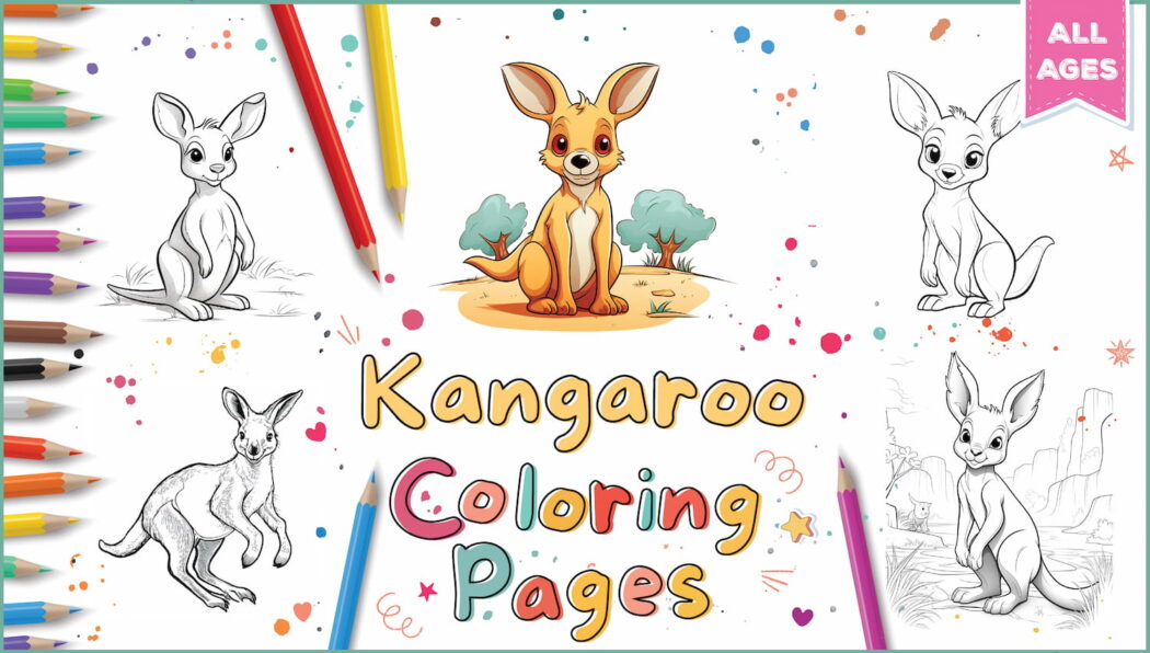 Kangaroo Coloring Pages - World of Printables