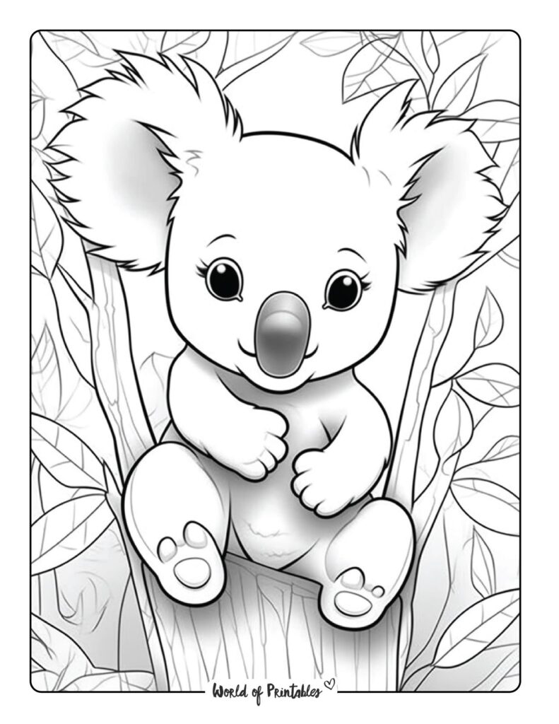 Koala Coloring Pages For Kids & Adults - World of Printables