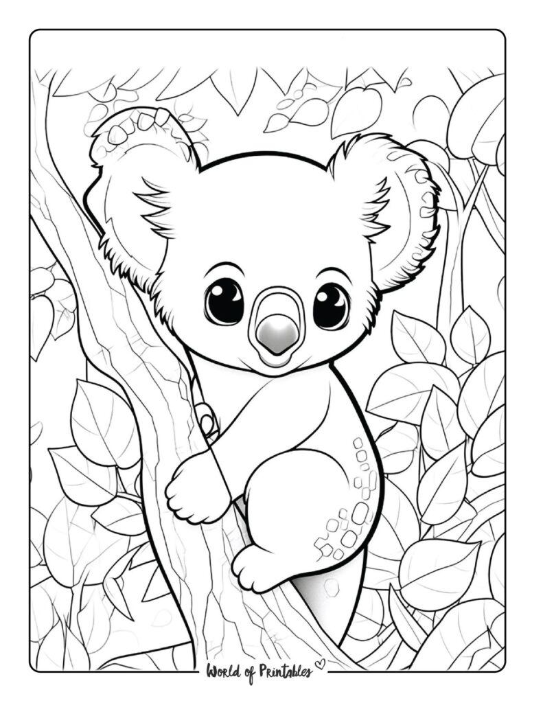 Koala Coloring Pages For Kids & Adults - World of Printables