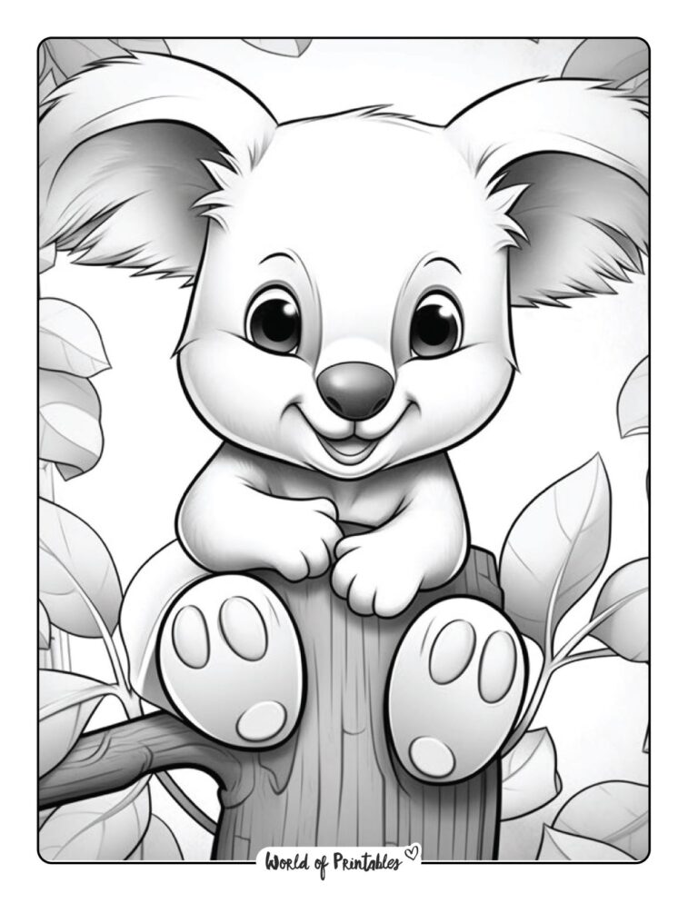Koala Coloring Pages For Kids & Adults - World of Printables