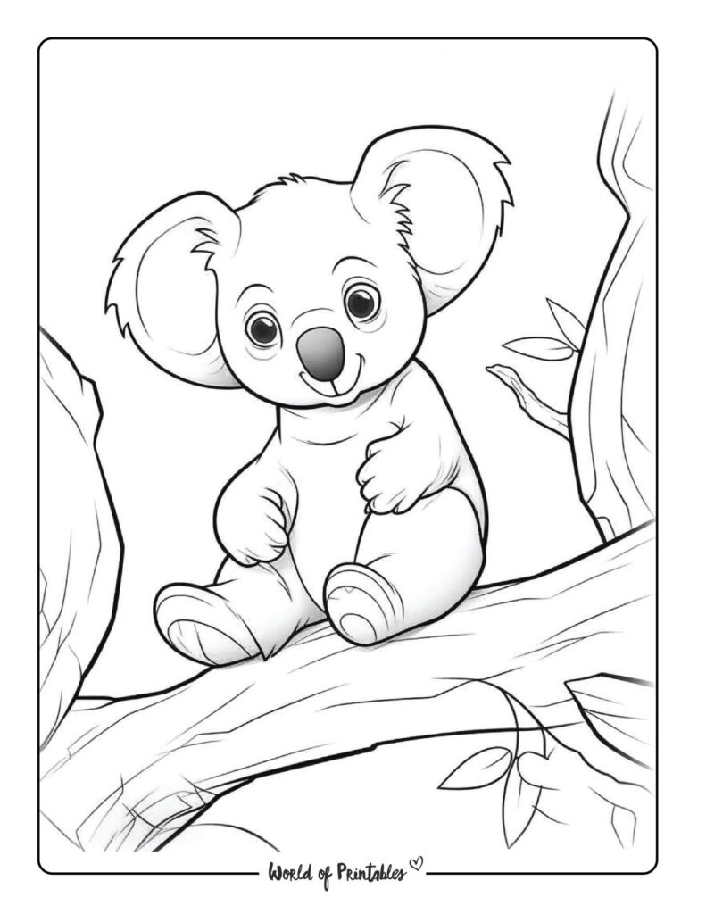 Koala Coloring Pages For Kids & Adults - World of Printables