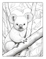 Koala Coloring Pages For Kids & Adults - World of Printables