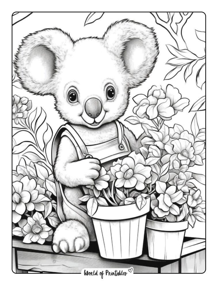 Koala Coloring Pages For Kids & Adults - World of Printables