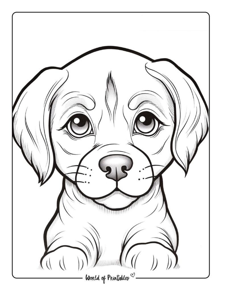Puppy Coloring Pages - World of Printables