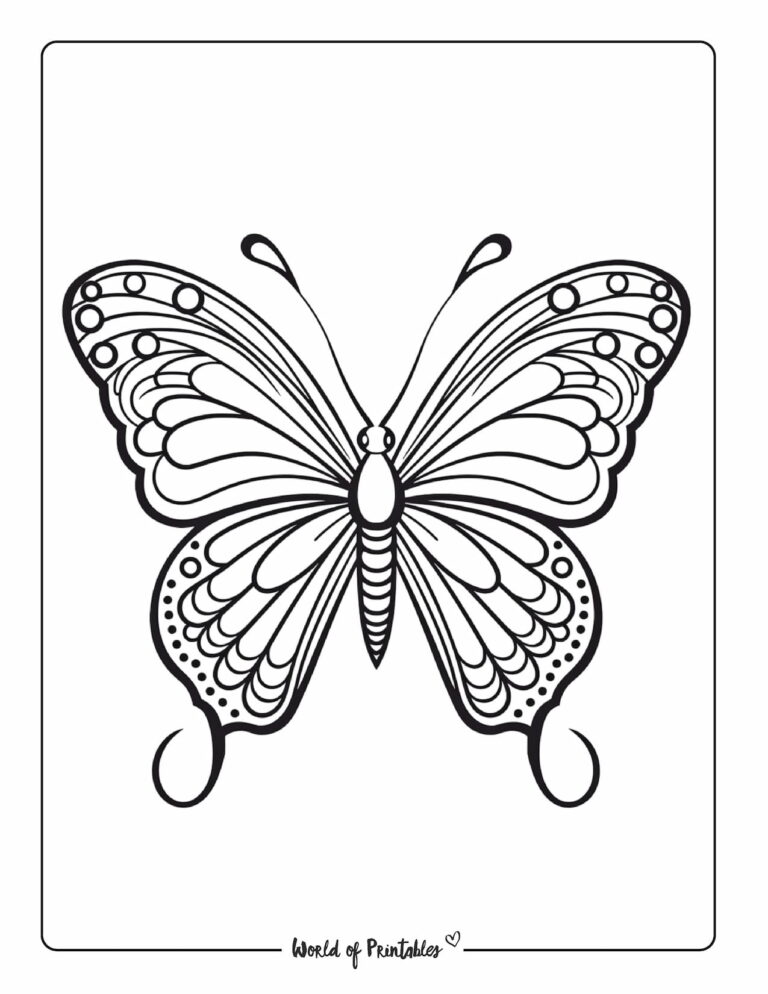 Butterfly Coloring Pages For Kids & Adults - World of Printables