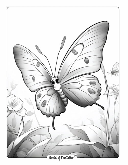 Butterfly Coloring Pages For Kids & Adults - World of Printables