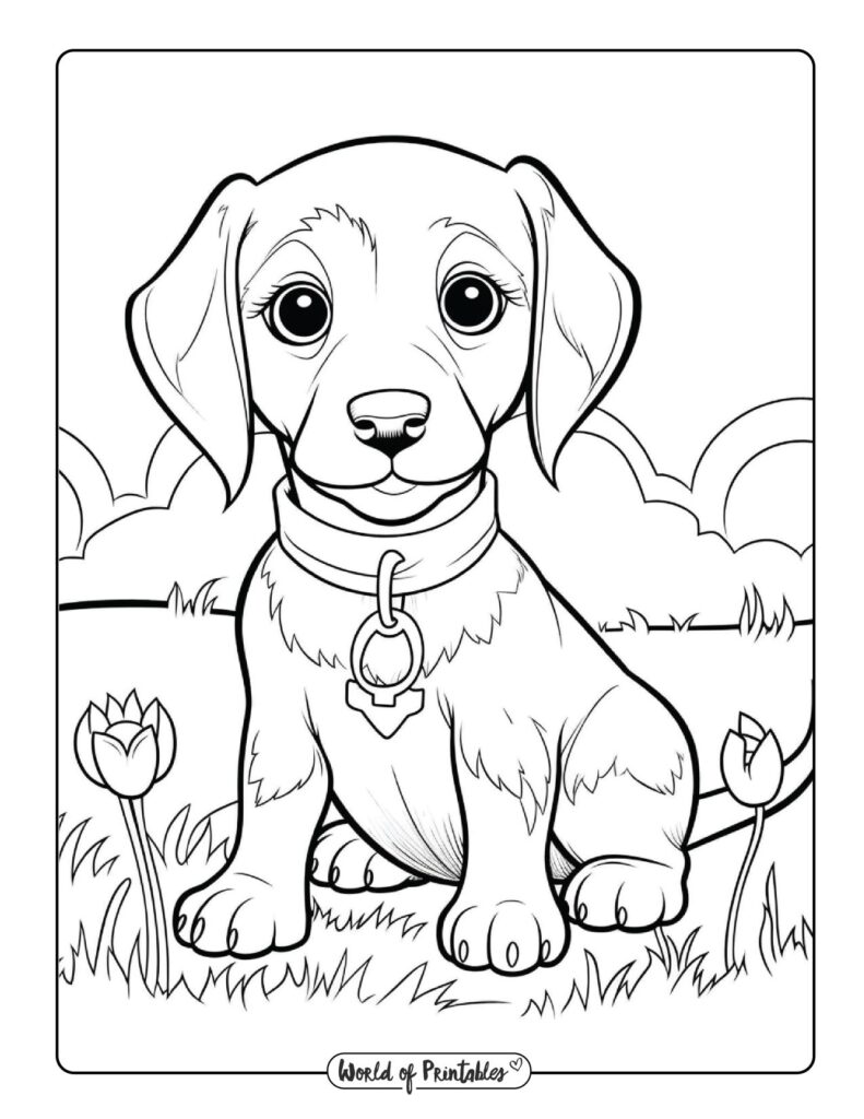 300 Dog Coloring Pages For Kids & Adults - World of Printables