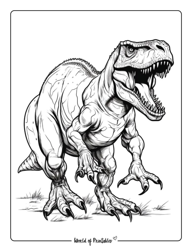 T Rex Coloring Pages - World of Printables