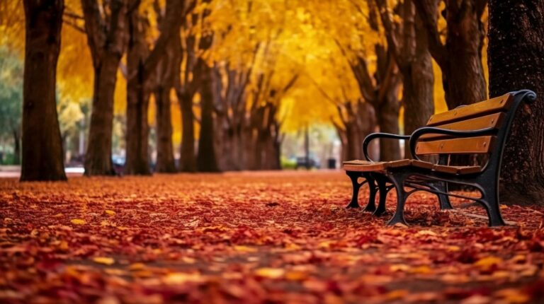 80+ Forest Backgrounds - World of Printables