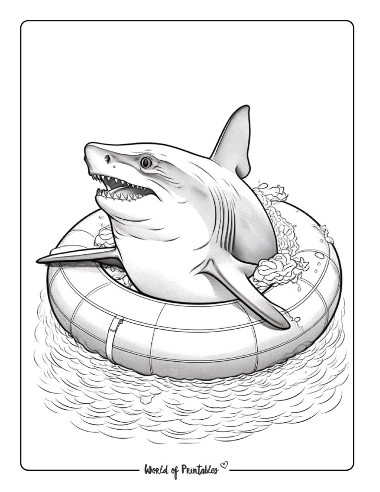 Shark Coloring Pages For Kids & Adults - World of Printables