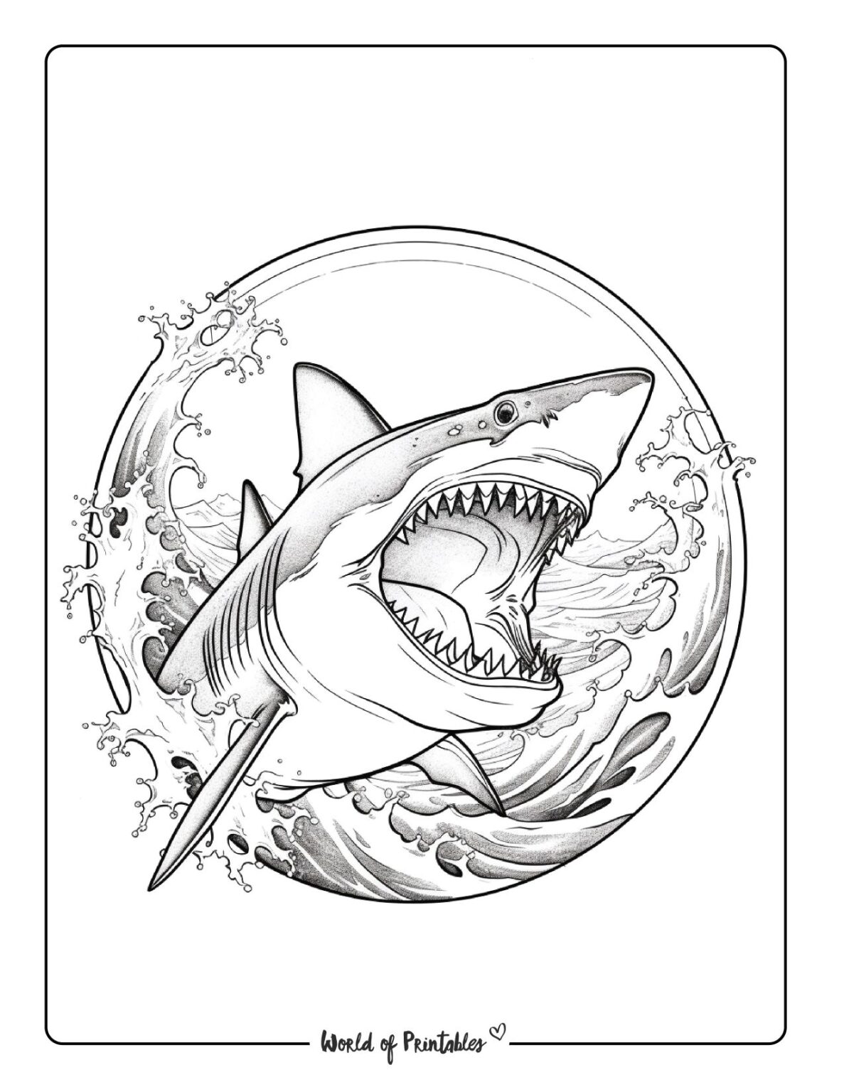Shark Coloring Pages For Kids & Adults - World of Printables