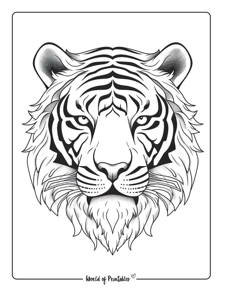 Tiger Coloring Pages For Kids & Adults - World of Printables