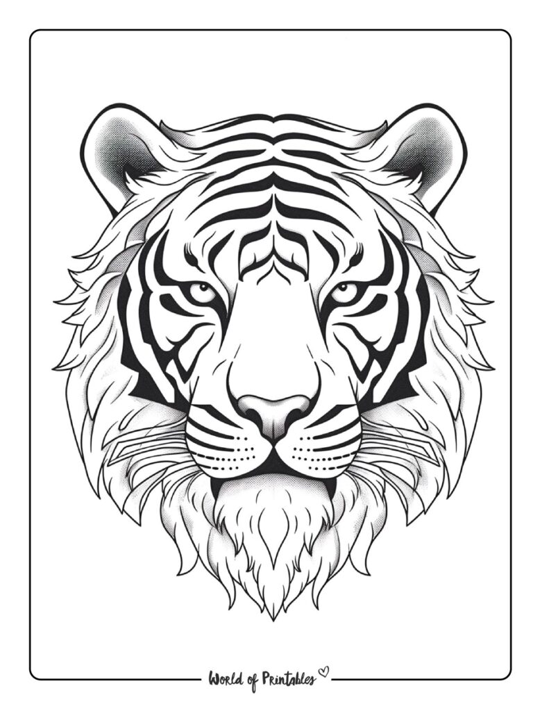 Tiger Coloring Pages For Kids & Adults - World of Printables