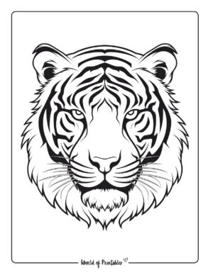 Tiger Coloring Pages For Kids & Adults - World of Printables
