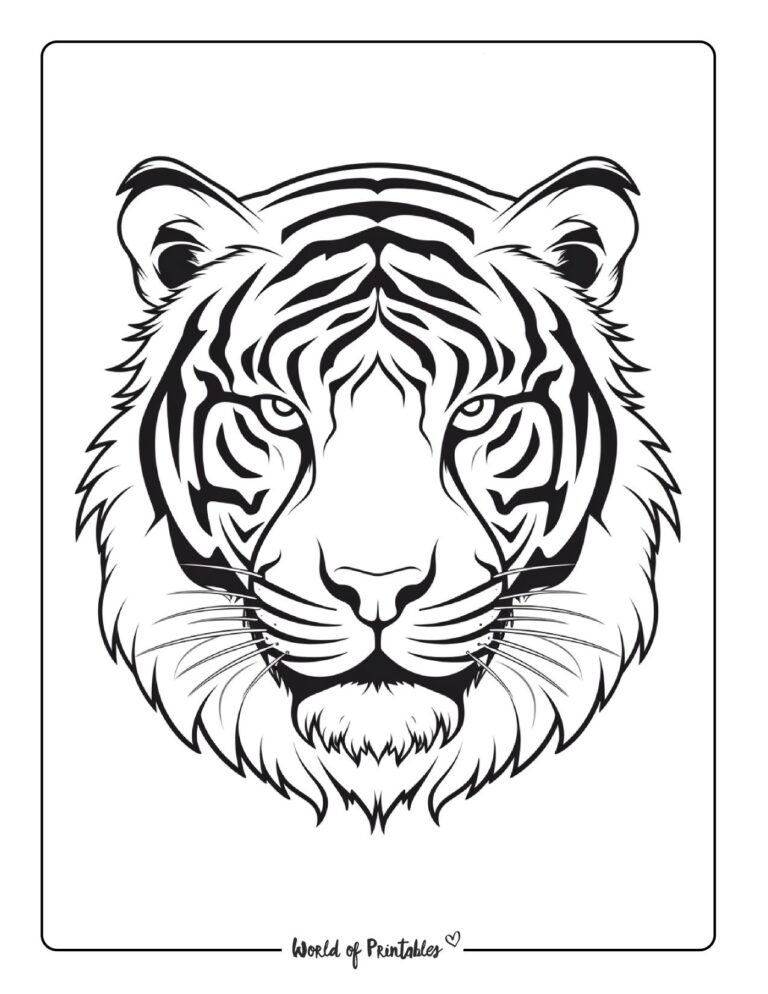 Tiger Coloring Pages For Kids & Adults - World of Printables
