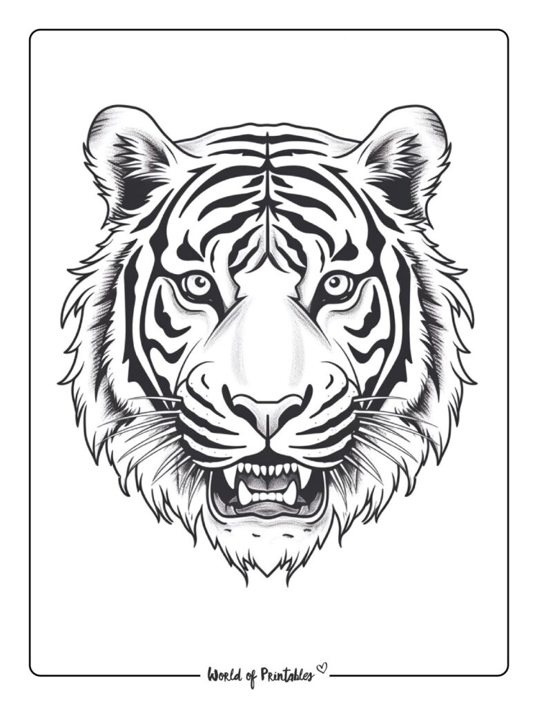Tiger Coloring Pages For Kids & Adults - World of Printables