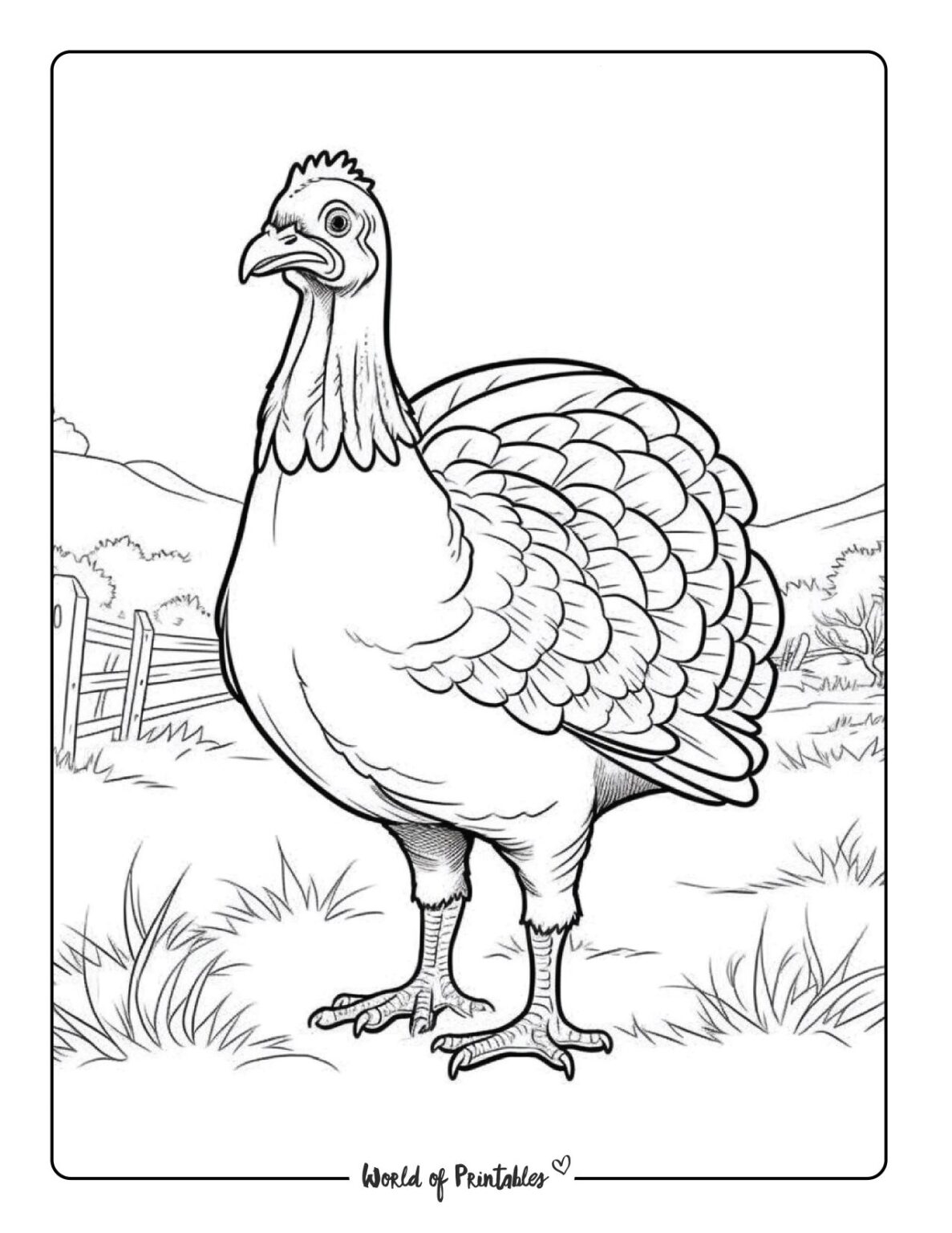 Turkey Coloring Pages - World of Printables