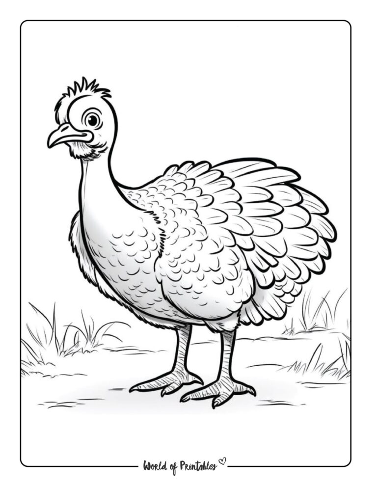 Turkey Coloring Pages - World of Printables