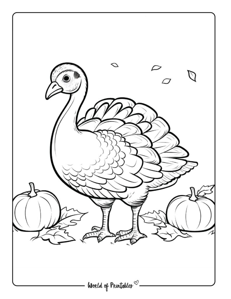 Turkey Coloring Pages - World of Printables