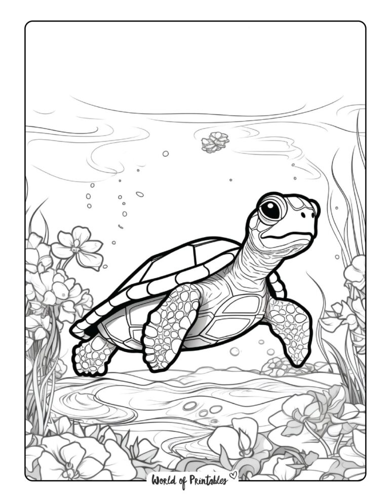 Turtle Coloring Pages For Kids & Adults - World of Printables