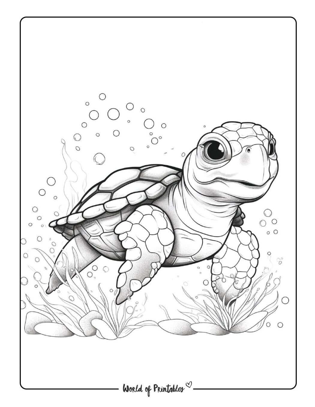 Turtle Coloring Pages For Kids & Adults - World of Printables