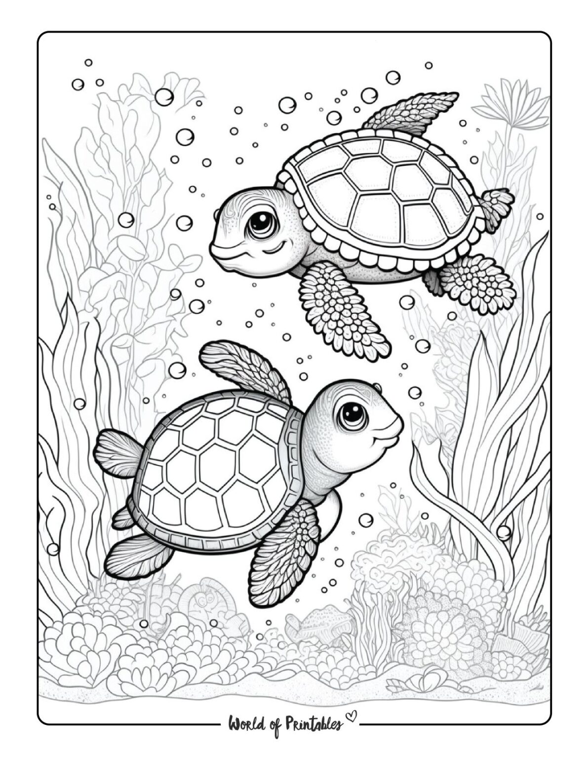Turtle Coloring Pages For Kids & Adults - World of Printables